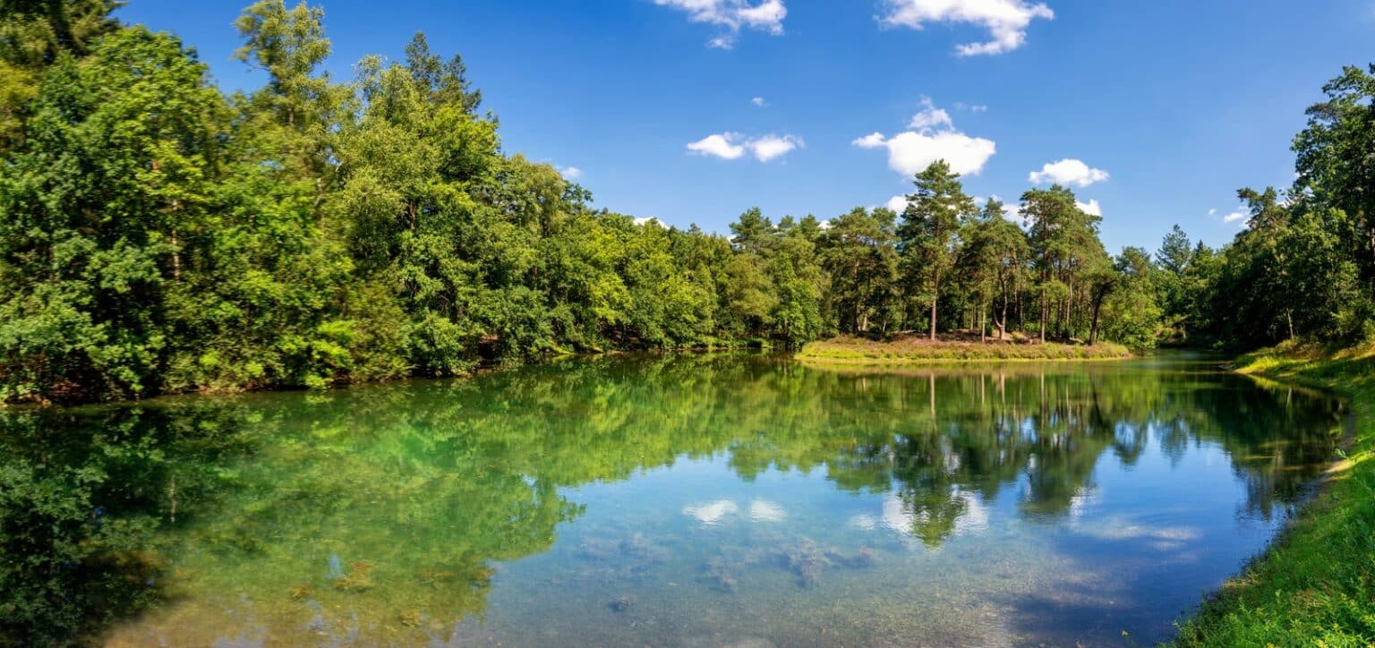 A Guide to Cornwall's Nature Reserves - Twice as Nice Chalets Cornwall